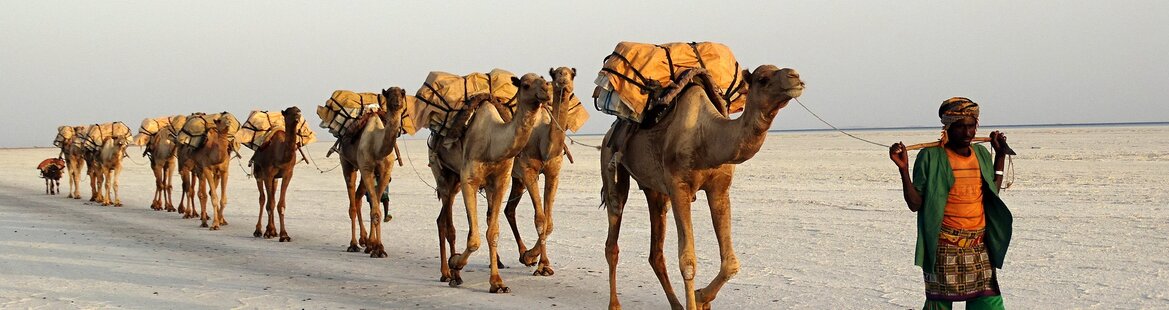 Tour guide in Mekele Kiros Zeray Mehari | Tripzaza.com