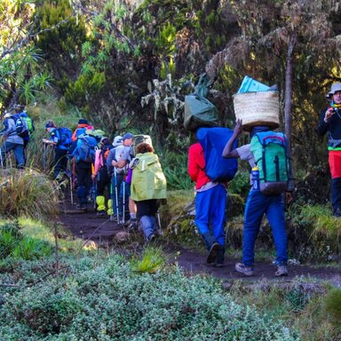 Tour in Moshi "5 Days Marangu Route Kilimanjaro Climb" | Tripzaza.com